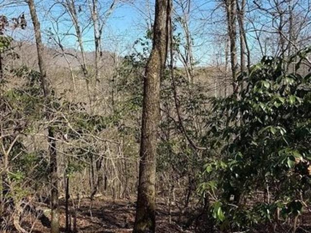 Royal Oaks Trl, Brasstown, NC 28902