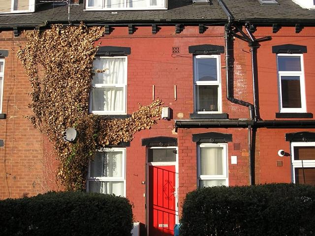 Royal Park Avenue