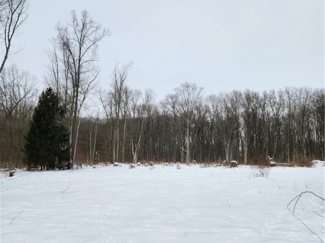Royalton Road