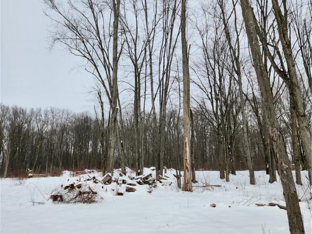 Royalton Road