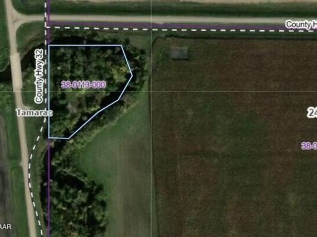 Rr Tamarac Township P # 38 0113, Argyle, MN 56713