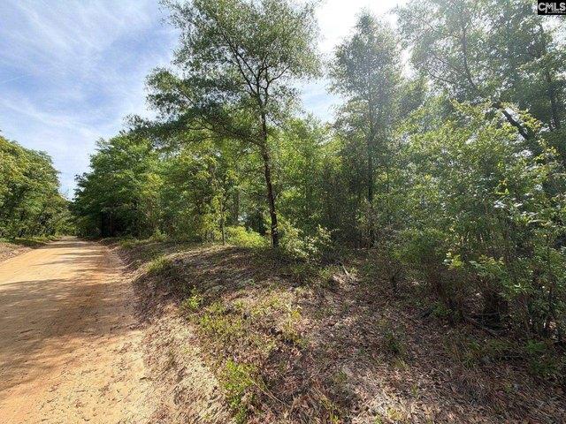 Rrf 7 Rogers Cemetery Rd, Salley, SC 29137