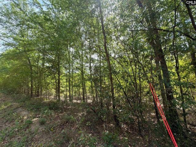 RRF 5 Rogers Cemetery Road Lot RRF 5