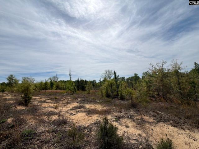 RRF 6 Rogers Cemetery Road Lot RRF 6