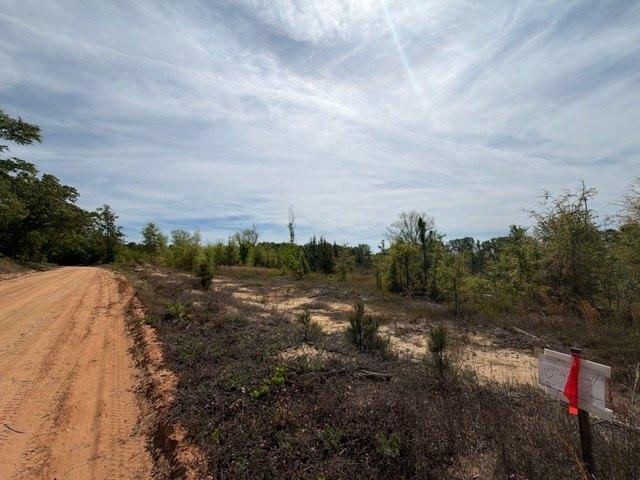 Rrf 6 Rogers Cemetery Rd Unit RRF6, Salley, SC 29137