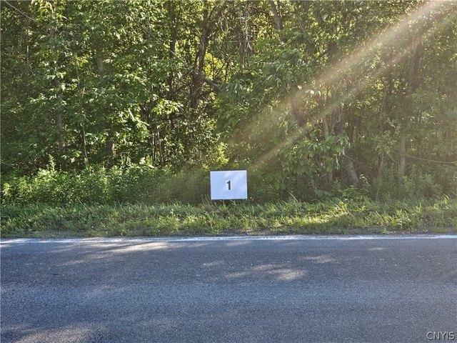 Rt 58 Lot 1, Mexico, NY 13114