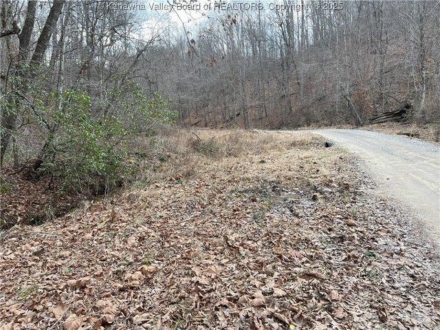 Rt 64 Upton Creek Rd, Spurlockville, WV 25565