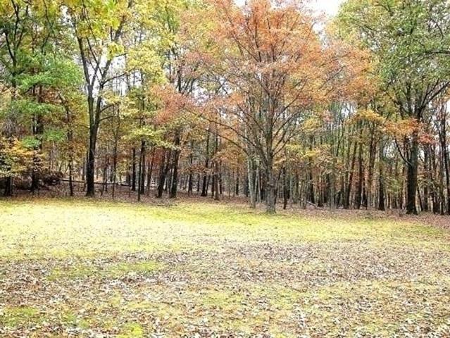 Rt 650, Wantage Township, NJ 07461