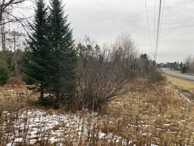 Rt 8, Cold Brook, NY 13324