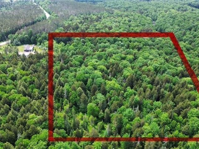 Rt 8 Lot 112, Cold Brook, NY 13324