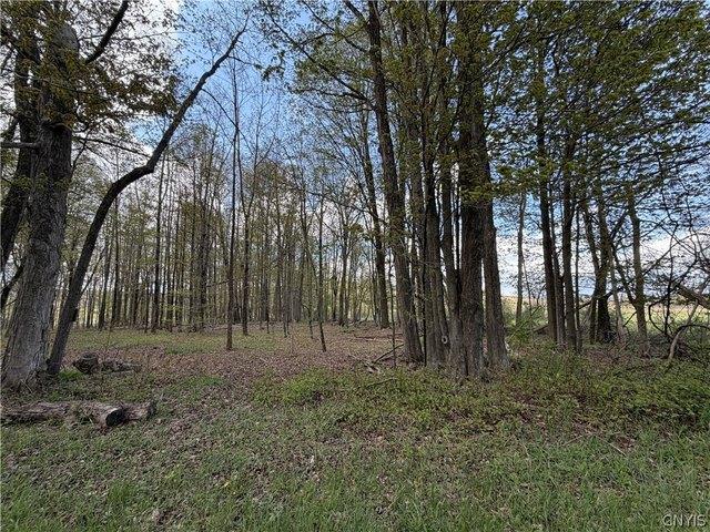 Rt 167 # Rt167 # Jordanville, NY 13361