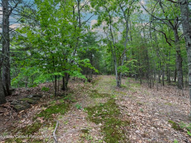 Rt 28a, West Hurley, NY 12491