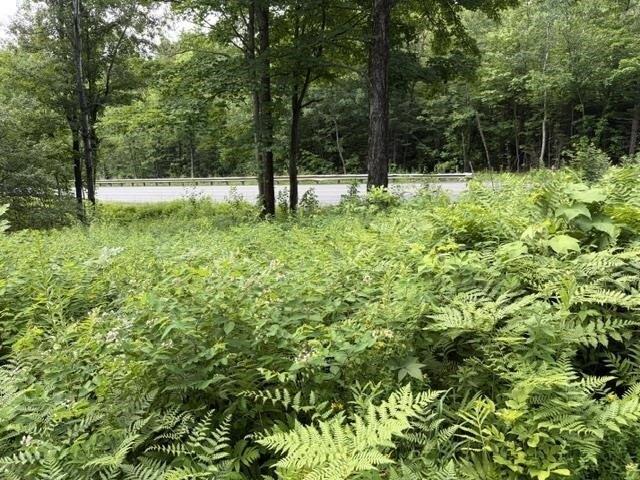 Rt #,irasburg, Plot For Sale