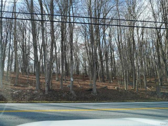 Rt NY 101882387