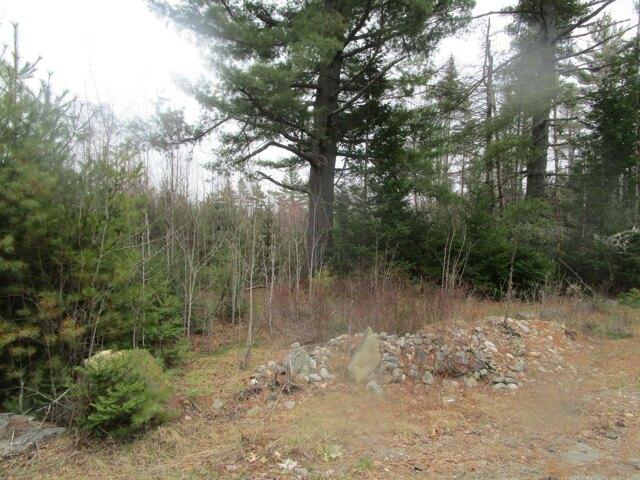 Rt Rebel Hill Rd, Clifton, Plot For Sale