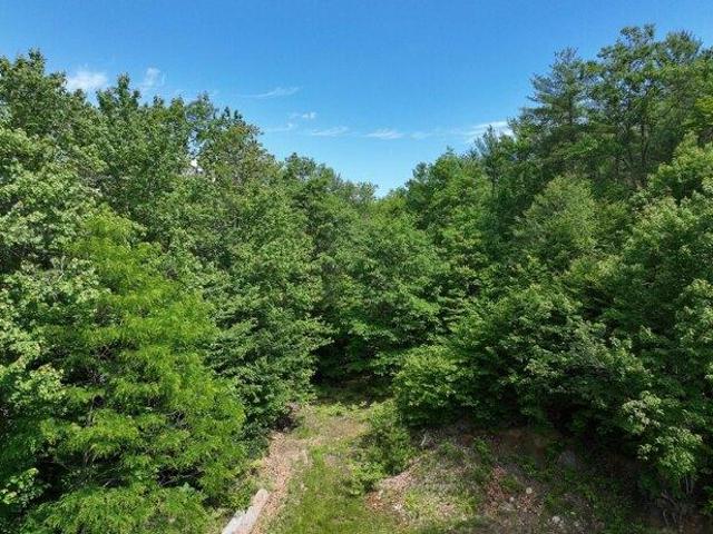 Rumford ME 04276 103441110