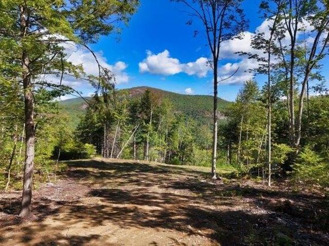 Rumney NH 03266 104511998