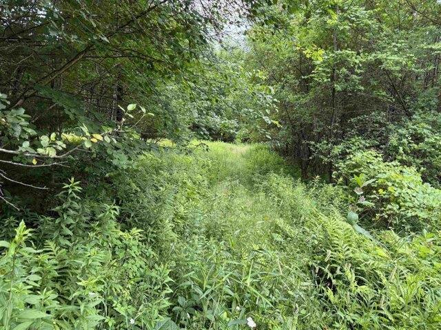 Rumney NH 03266 104651348