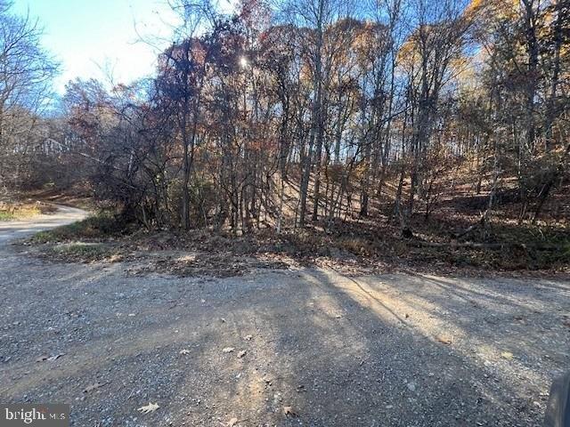 Runaway Ct, Berkeley Springs, WV 25411