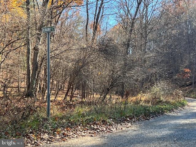 Runaway Ct, Berkeley Springs, WV 25411 | MLS #WVMO2006 | Compass