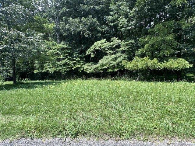 Runaway Dr Lot 15, Fountain Run, KY 42133
