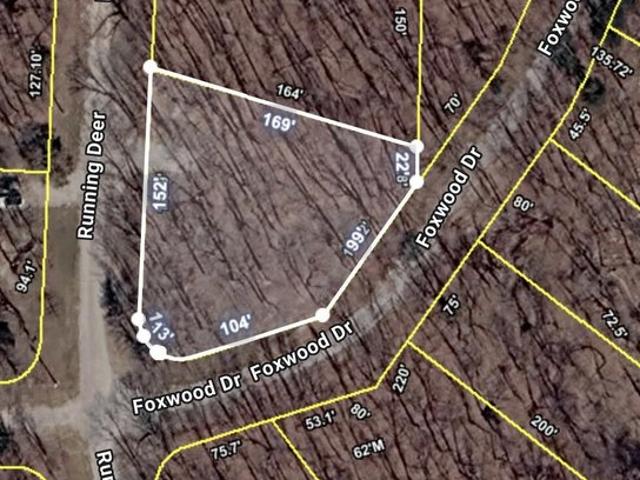 Running Deer, Crab Orchard, TN 37723