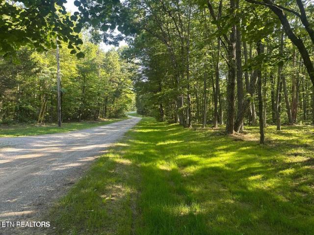 Running Deer, Crab Orchard, TN 37723