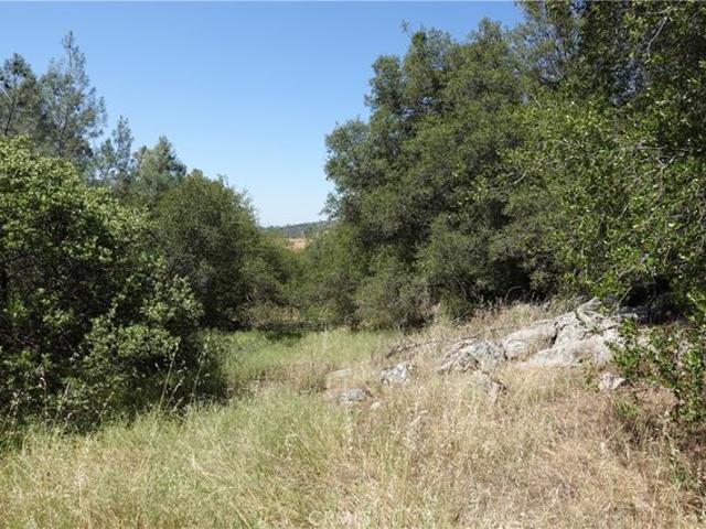 Running Deer Way, Coarsegold, CA 93614