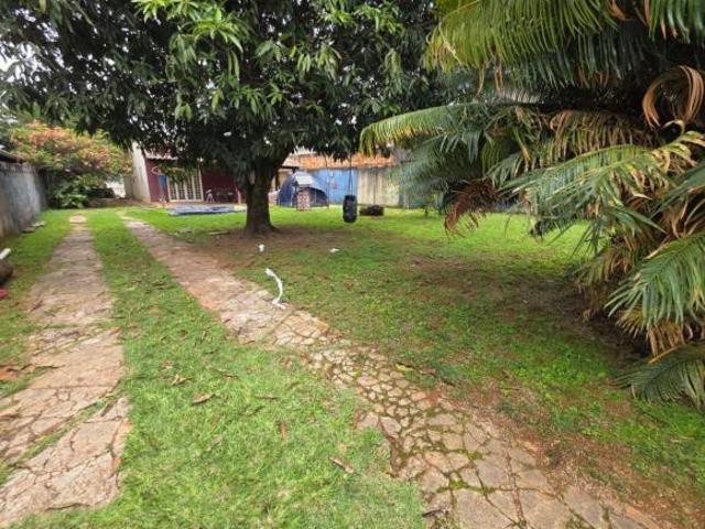 Rua 06, próximo Col. Liceu, LT. 924m², laje, varanda, quintal