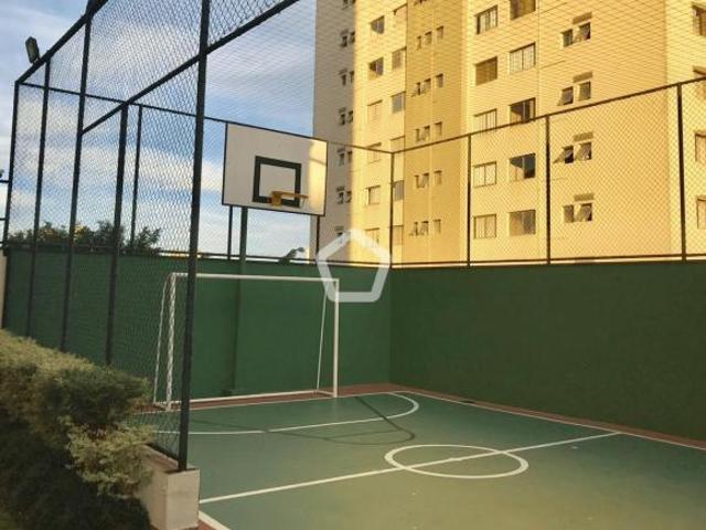 Rua Guiratinga, 931 Bosque da Saúde