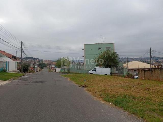 Rua Heitor Vila Lobos, 349 Parque Monte Castelo