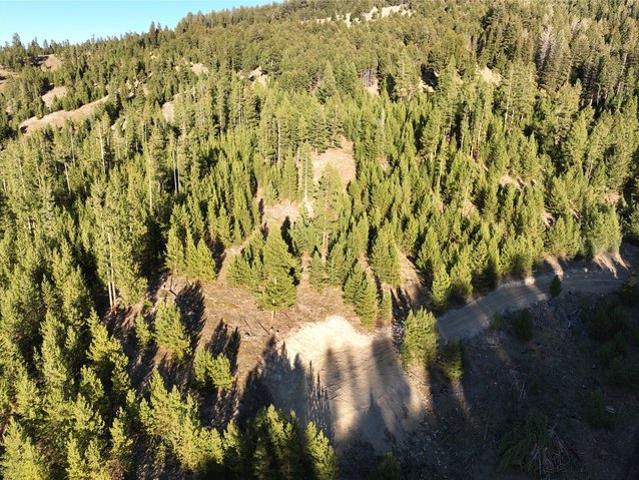 Ruby Mine Rd Lot 5, Butte, MT 59701