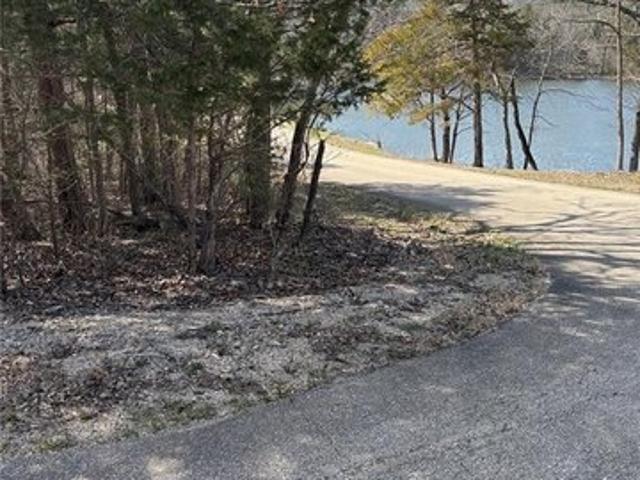 Rue Angeline, Bonne Terre, MO 63648