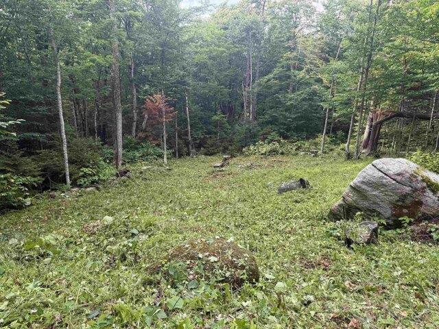 Rue Madeline, Readsboro, Plot For Sale