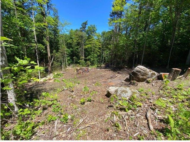 Rue Madeline, Readsboro, VT 05350
