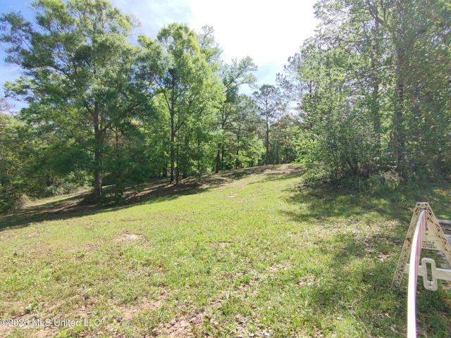Rue St. Germaine, Carriere, MS 39426