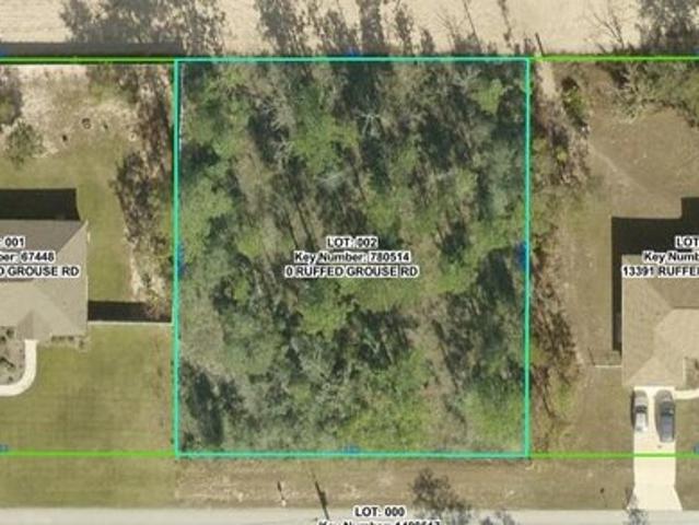 Ruffed Grouse Rd, Weeki Wachee, FL 34614