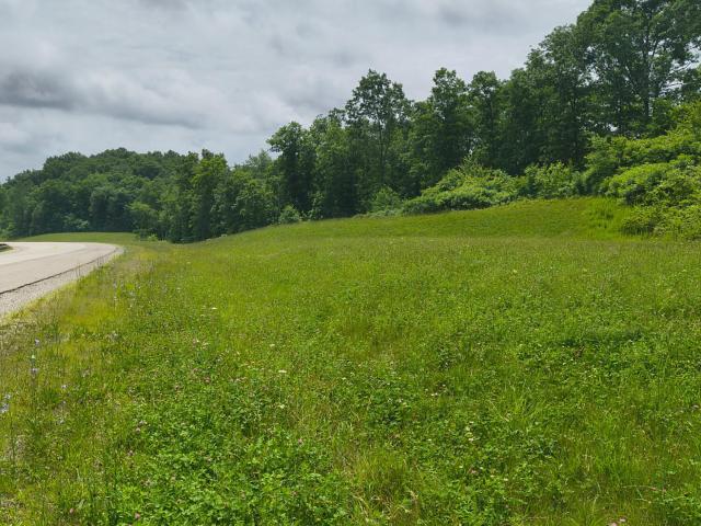Rugby Highway 52, Robbins, TN 37852