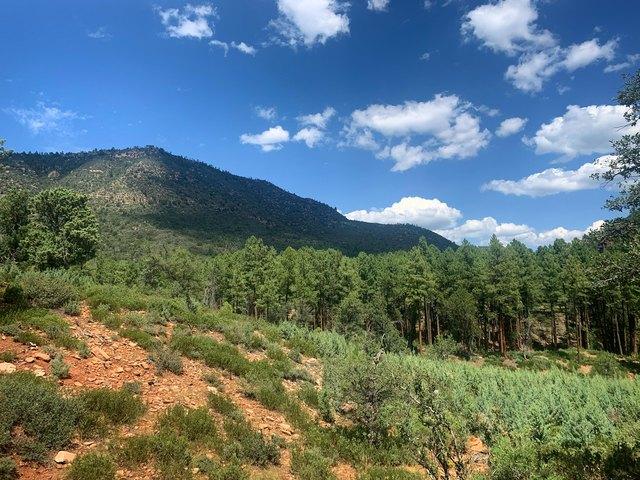 Ruin Hill Loop Lot 49, Pine, AZ 85544