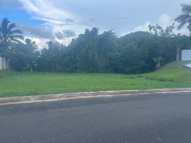 Ruisenor St #,barceloneta, Plot For Sale