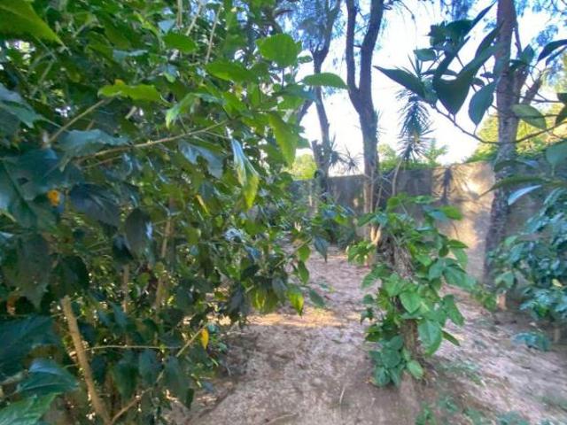 Rurais com 4 quartos e 1000 m² à venda, Dona Catarina