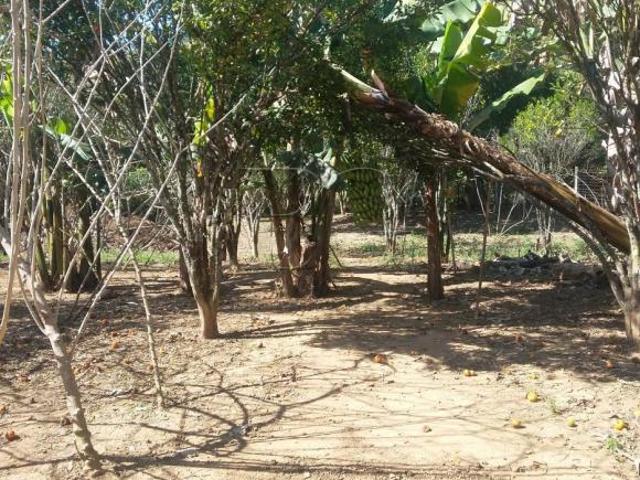 Rurais Chácara em Poços de Caldas