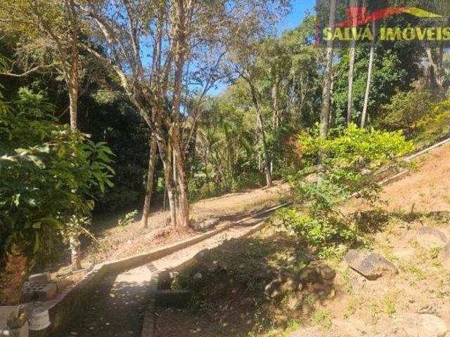 Rurais à venda em Terra Preta