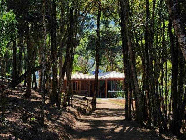 Rurais à venda em Terra Preta