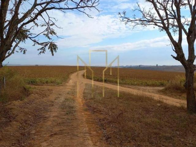Rurais à venda em Tubalina