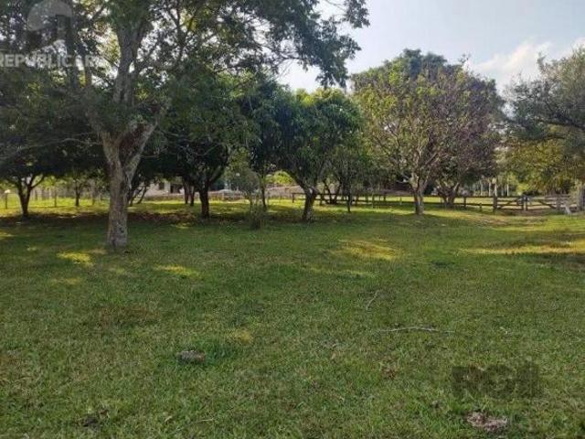 Rurais à venda em Viamão