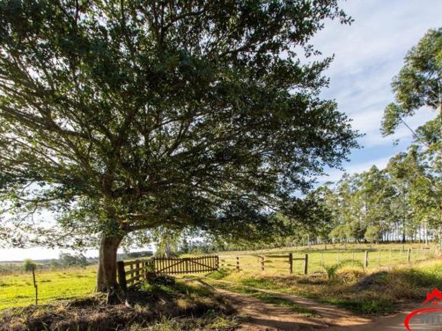 Rurais à venda em Viamão