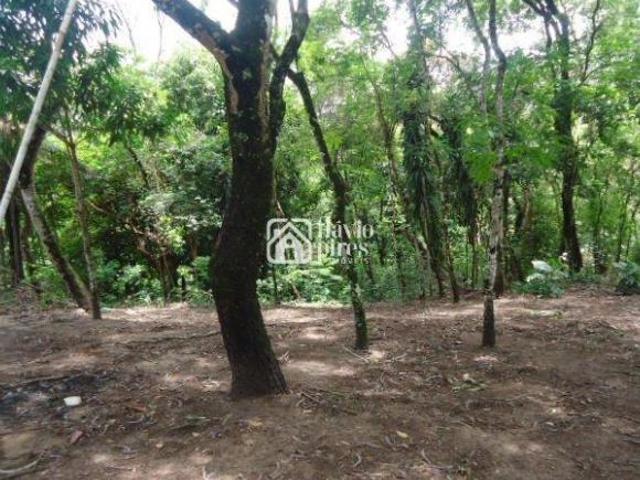 Rurais à venda em Vianópolis