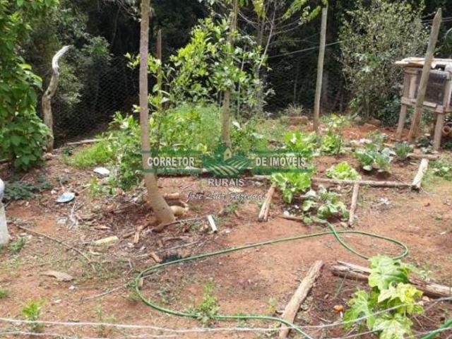 Rurais à venda em Arantina