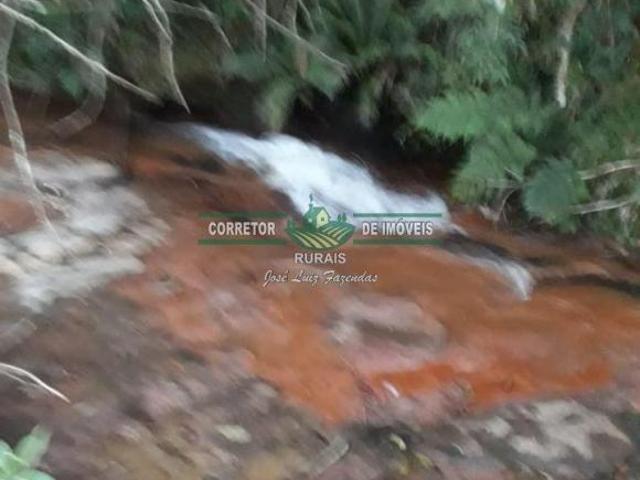 Rurais à venda em Arantina
